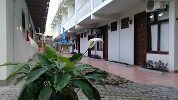 Jardim