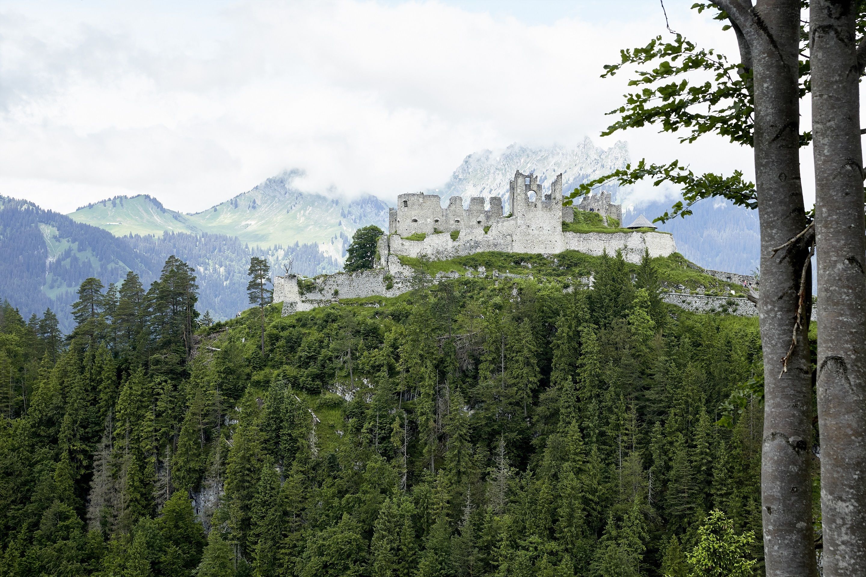 Um castelo no topo de uma colina, rodeado por uma floresta densa e montanhas.