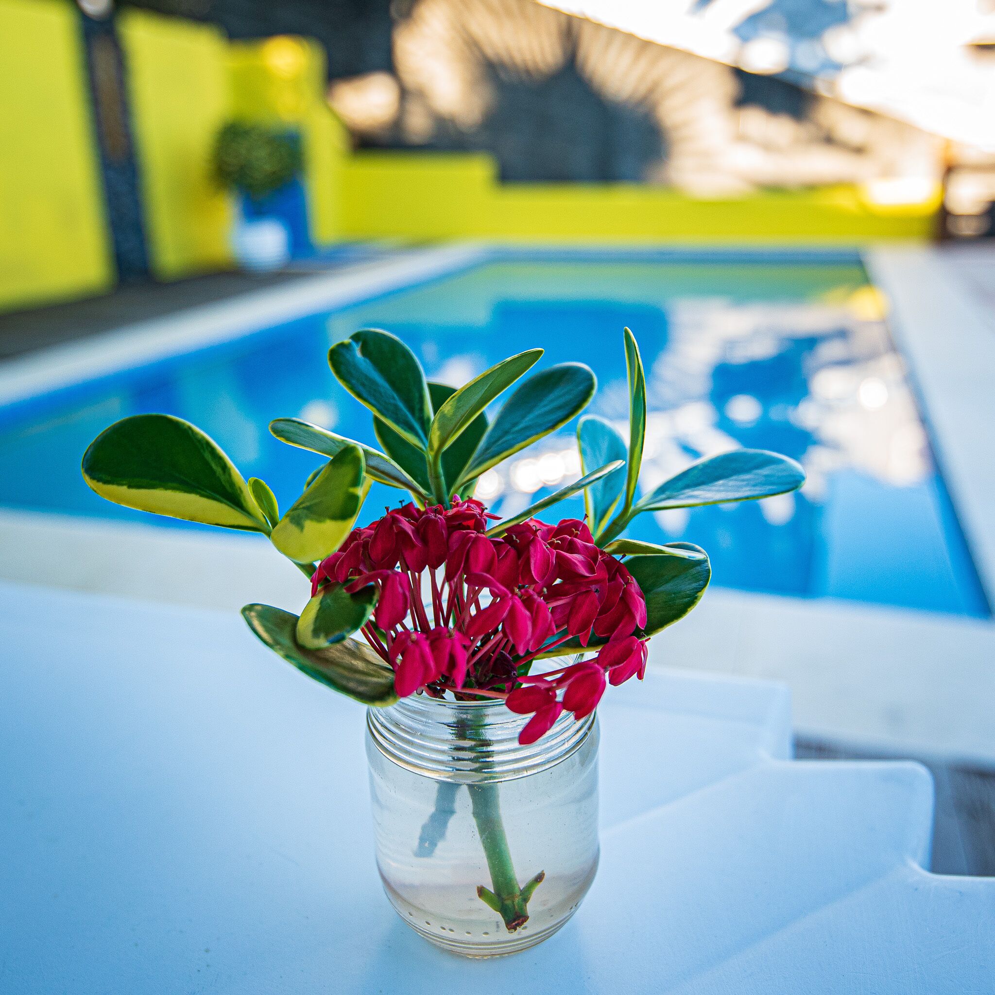 Um vaso de vidro transparente com flores cor-de-rosa sobre uma superfície branca, perto de uma piscina.