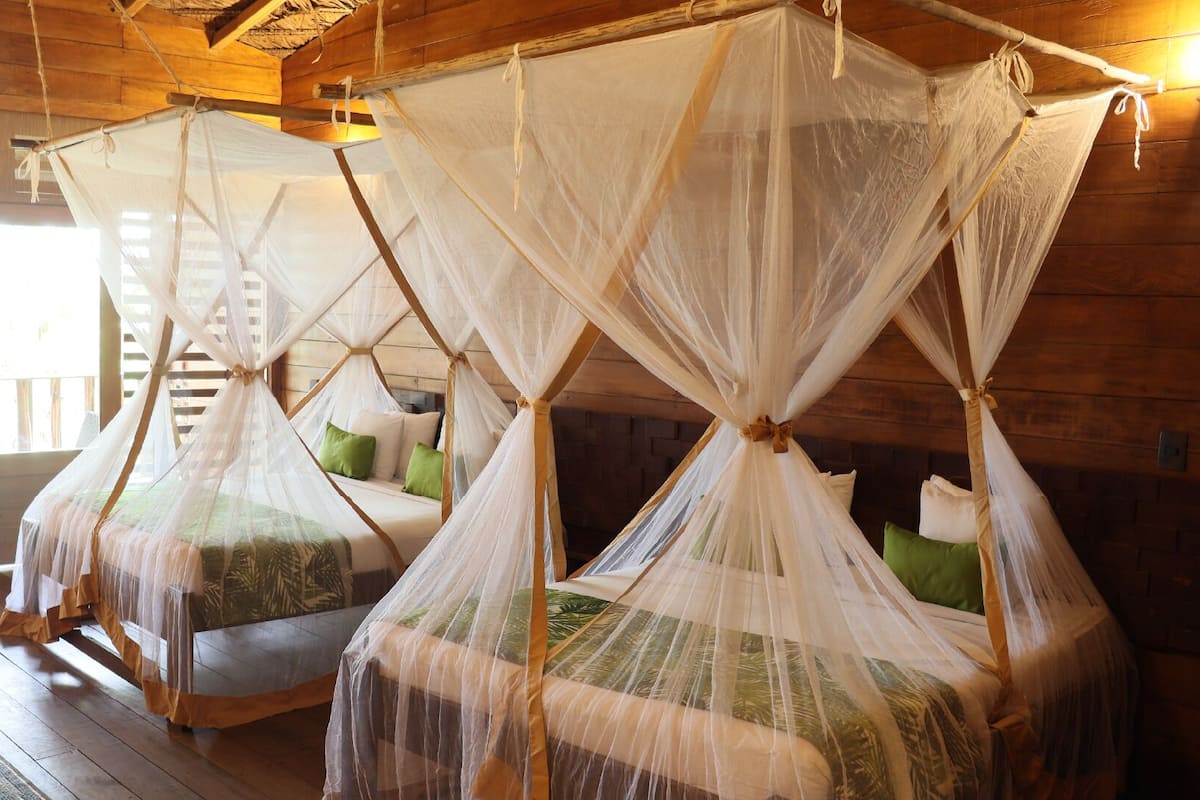 Quarto com quatro camas, cada uma coberta por um mosquiteiro. As camas têm roupa de cama verde e branca. O quarto possui paredes e piso de madeira.