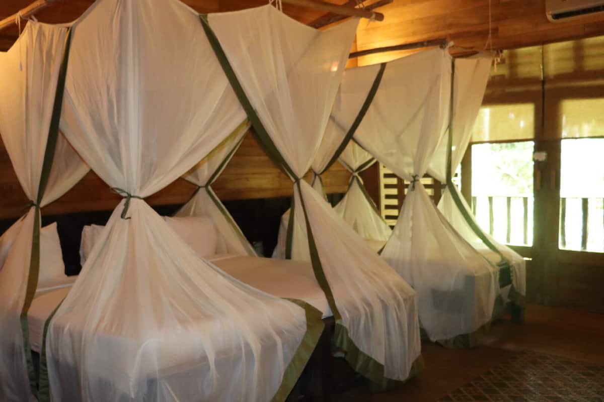 Quarto com quatro camas cobertas por dosséis brancos.