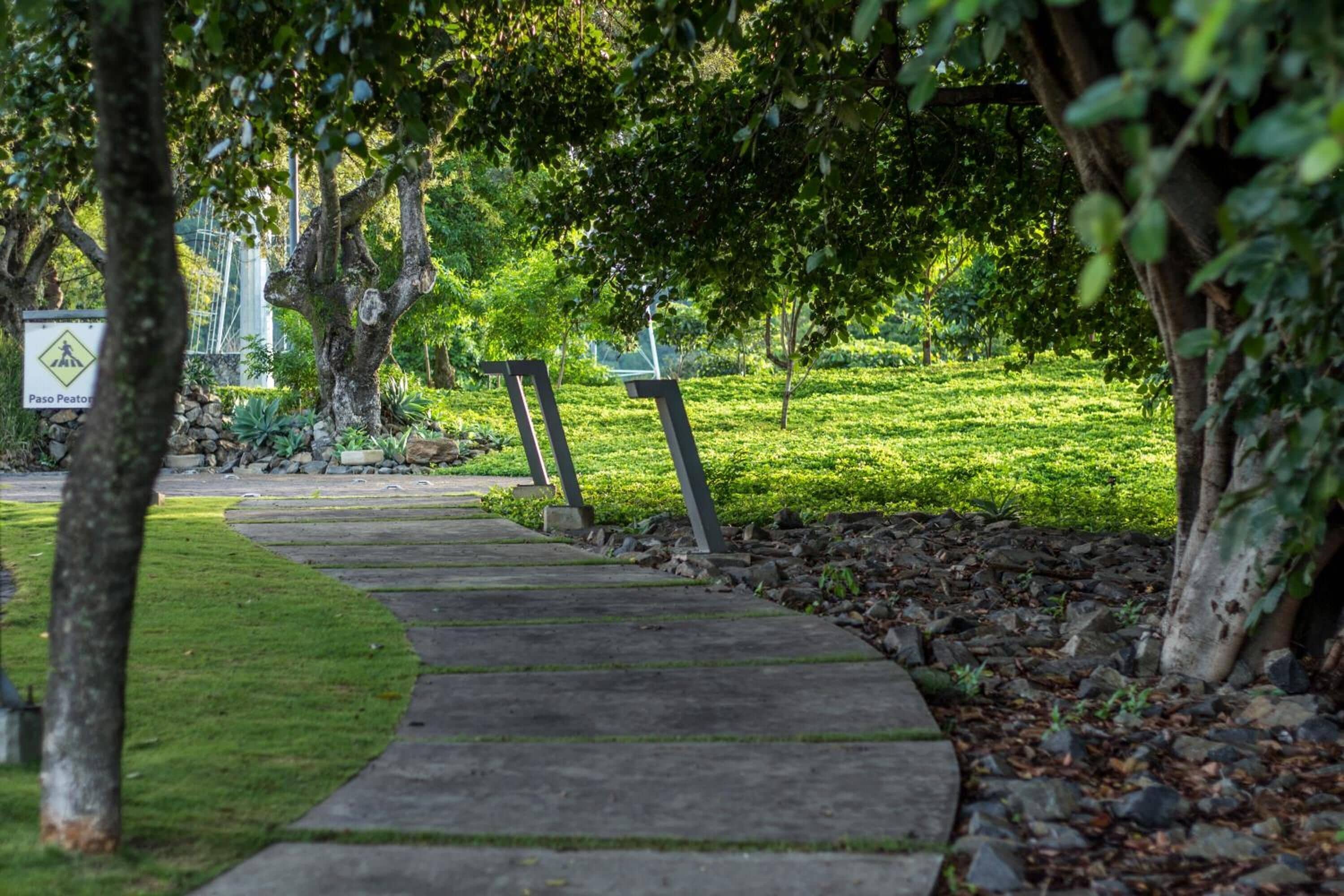 Um caminho serpenteia por um parque, com árvores e uma área gramada.