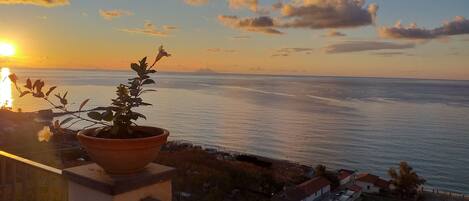 Varanda com planta em vaso, vista para uma cidade costeira ao pôr do sol.