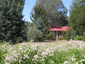 Uma cabana rodeada por floresta densa e flores em flor.