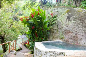 Uma piscina de pedra com uma escadaria de metal que a leva, rodeada por vegetação exuberante e um muro de pedra.