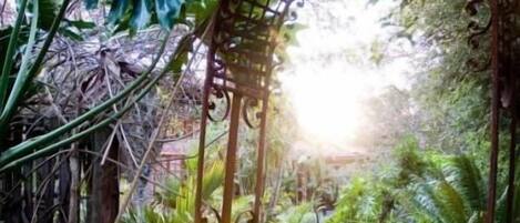 Área da propriedade