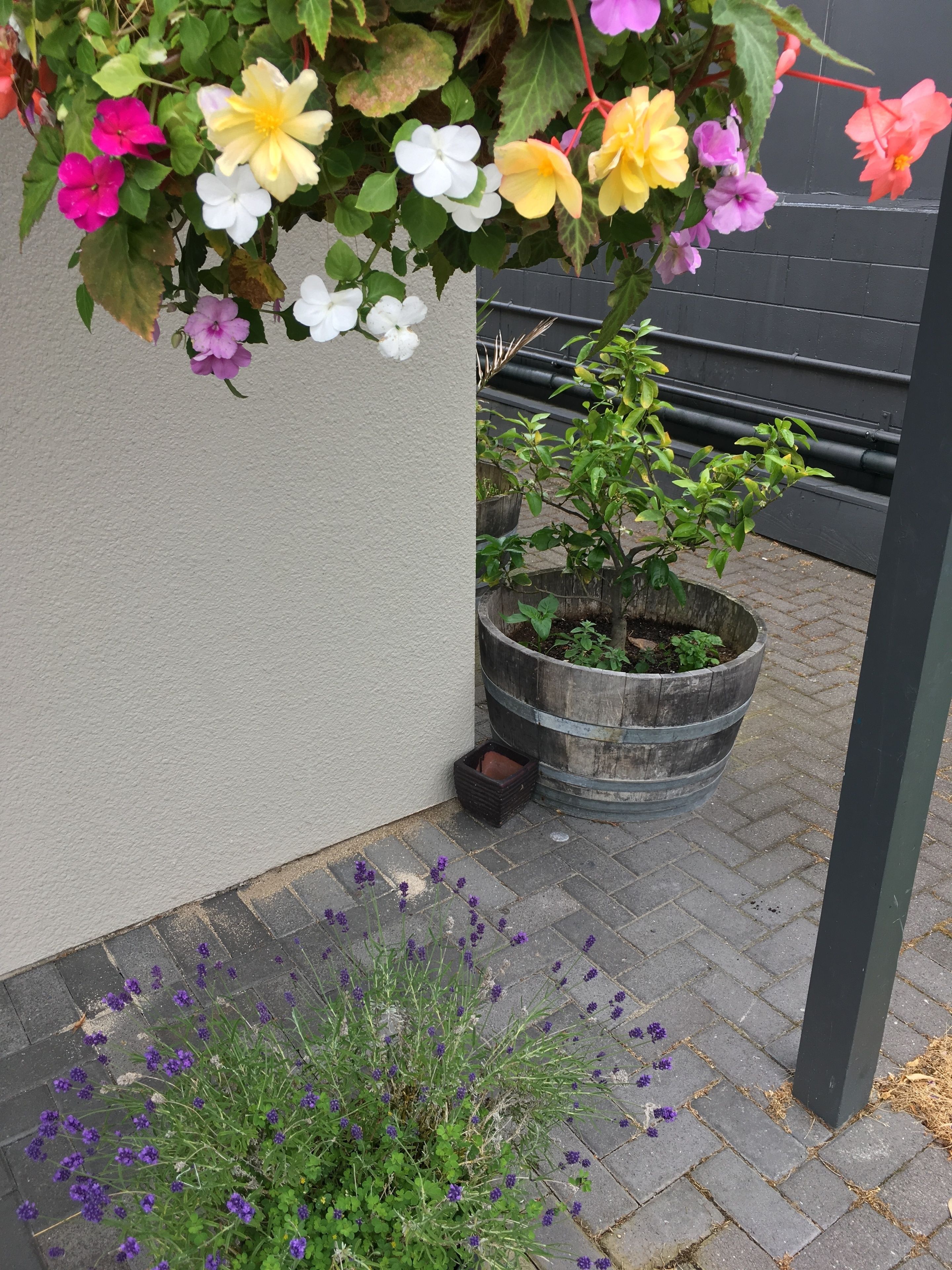 Cesta suspensa com diversas flores, um vaso de planta e um pequeno canteiro de flores roxas sobre uma superfície pavimentada.