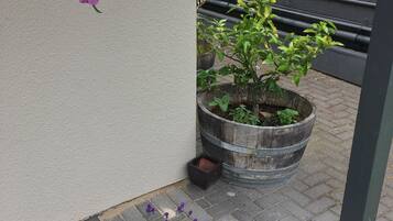 Cesta suspensa com diversas flores, um vaso de planta e um pequeno canteiro de flores roxas sobre uma superfície pavimentada.