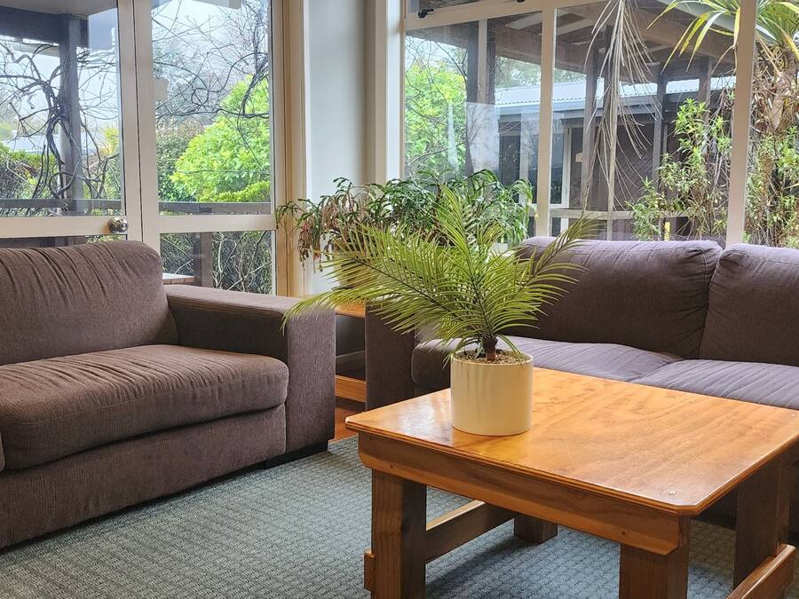 Uma sala de estar com dois sofás marrons, uma mesa de centro de madeira e um vaso com planta.