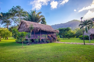 Uma casa com telhado de palha e varanda de madeira, rodeada por vegetação exuberante e palmeiras.