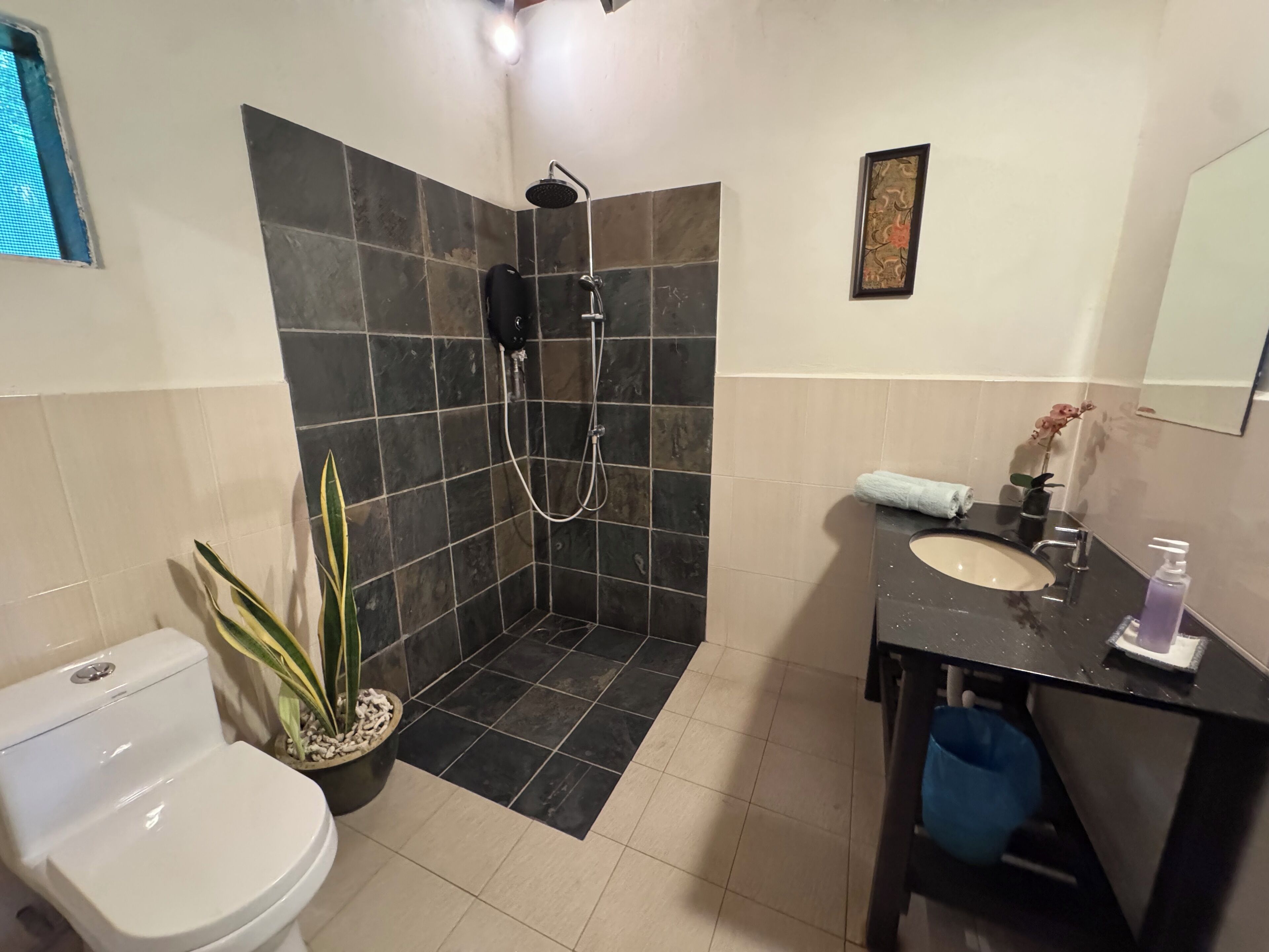 Casa de banho com sanita, lavatório, chuveiro e uma planta num vaso.