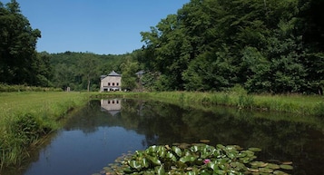 Área da propriedade