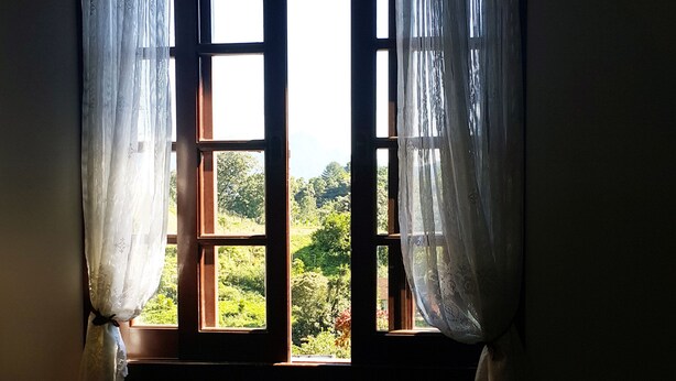Janela com cortinas brancas, vista para o verde e moldura de madeira.