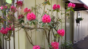 Jardim