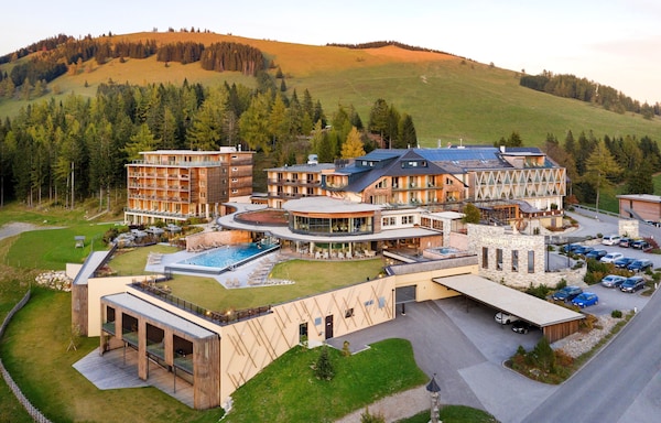 Almwellness Hotel Pierer - Styria