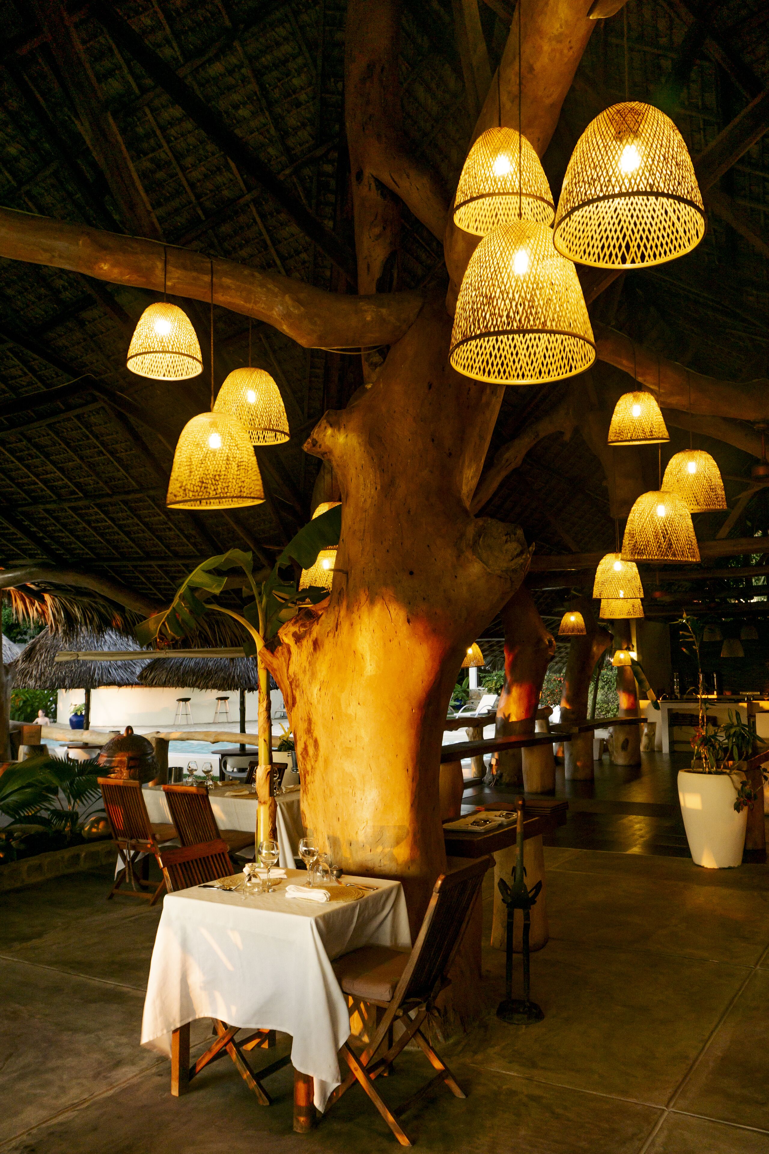 Restaurante com mesas preparadas para refeições, luminárias de vime suspensas e um tronco de árvore grande no centro.