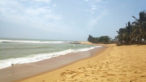 Uma praia arenosa com ondas calmas, coqueiros e barcos.