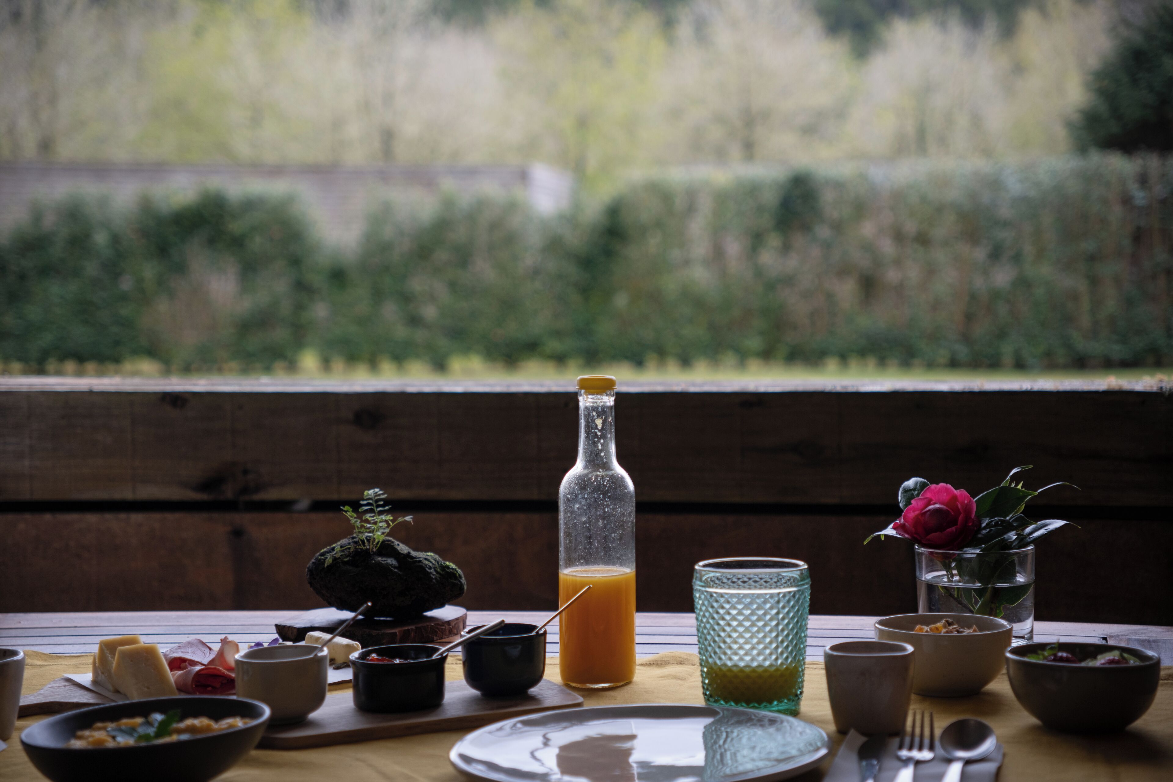Uma mesa posta com vários pratos, uma garrafa de suco e um vaso com uma flor, vista através de uma janela com paisagem natural ao fundo.