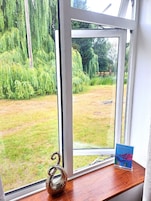Uma janela com vista para um gramado e árvores.