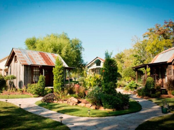 Silver Sycamore - Houston, TX