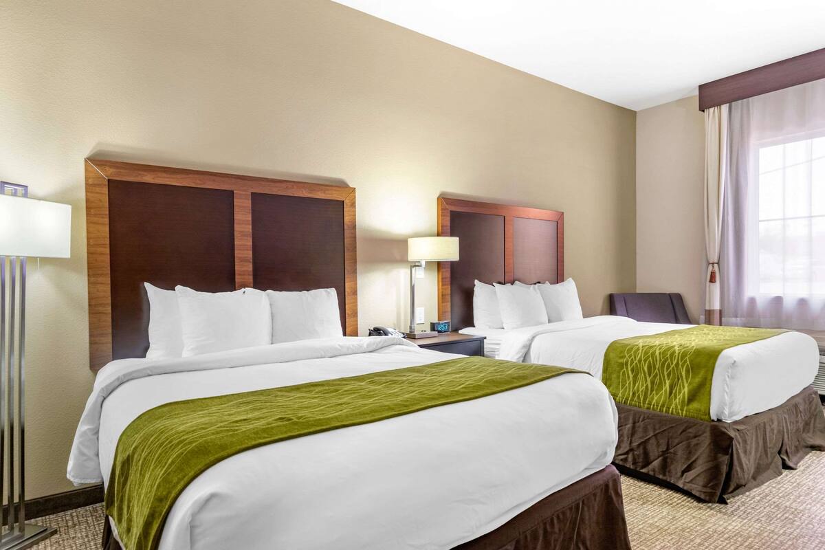 Quarto de hotel com duas camas, cada uma com lençóis brancos e um cobertor verde. Há uma mesa de cabeceira com uma luminária e um telefone entre as camas. O quarto possui uma cabeceira de madeira e uma janela grande com cortinas.
