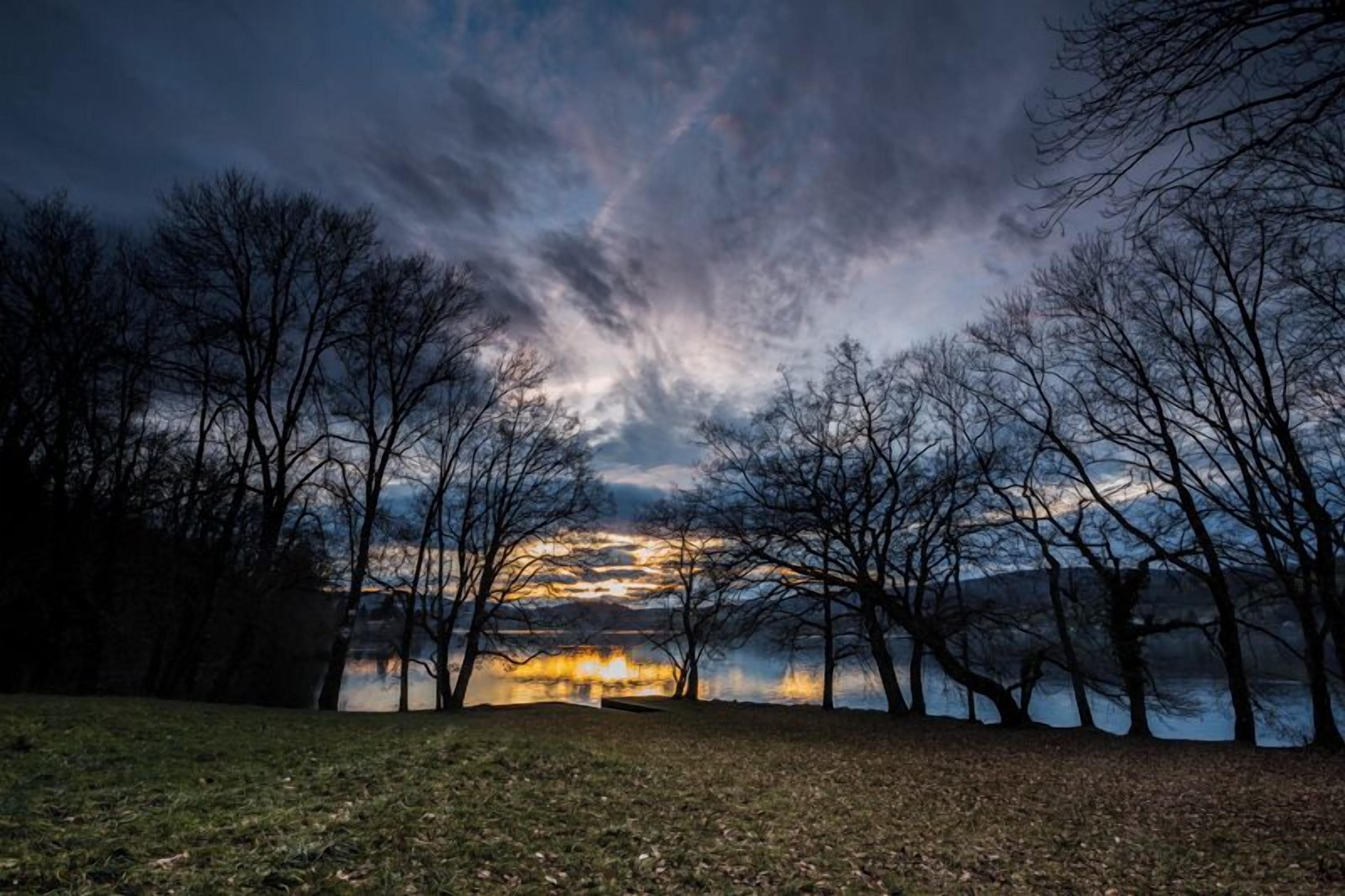 Um parque com árvores sem folhas e um lago refletindo o céu.