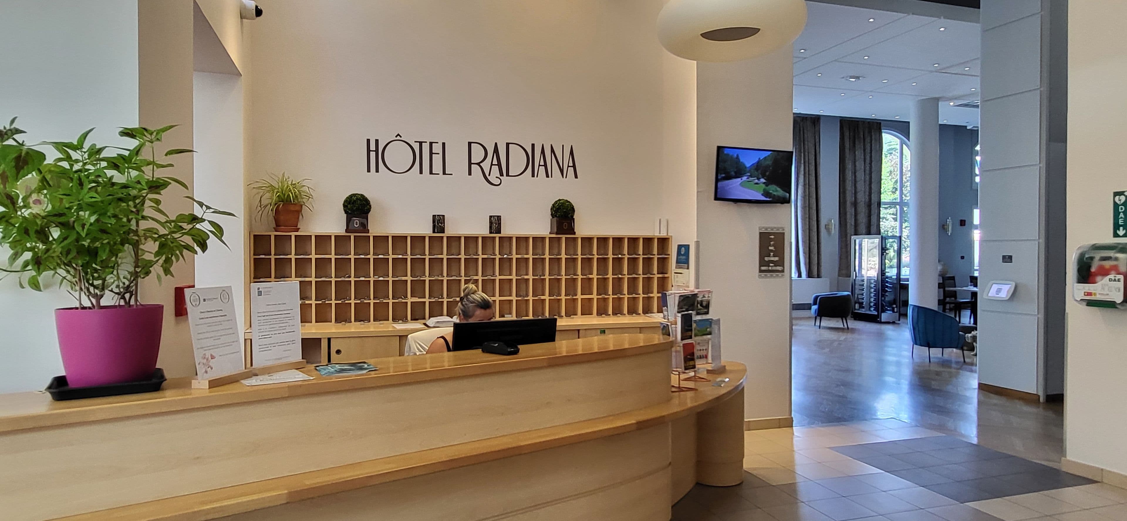 Balcão de recepção de hotel com uma placa indicando 'HOTEL RADIANA', uma planta em vaso e uma tela de televisão ao fundo.