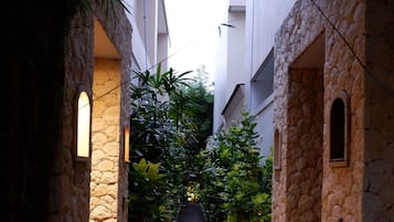Entrada