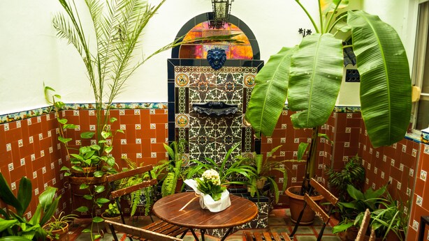 Um pequeno espaço de pátio fechado com chão em mosaico, uma mesa de madeira e várias cadeiras. Há diversas plantas em vasos e uma parede decorativa com padrão de azulejos.