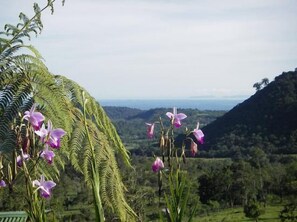 Vista para a montanha