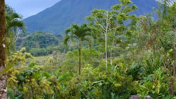 Piscina exterior, espreguiçadeiras