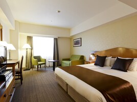 Edredões de penas, secretária, cortinas/cortinados opacos, Wi-fi grátis 