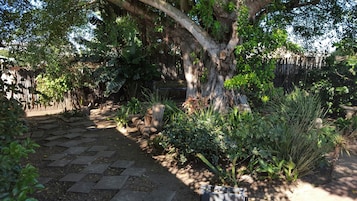 Terrenos do alojamento