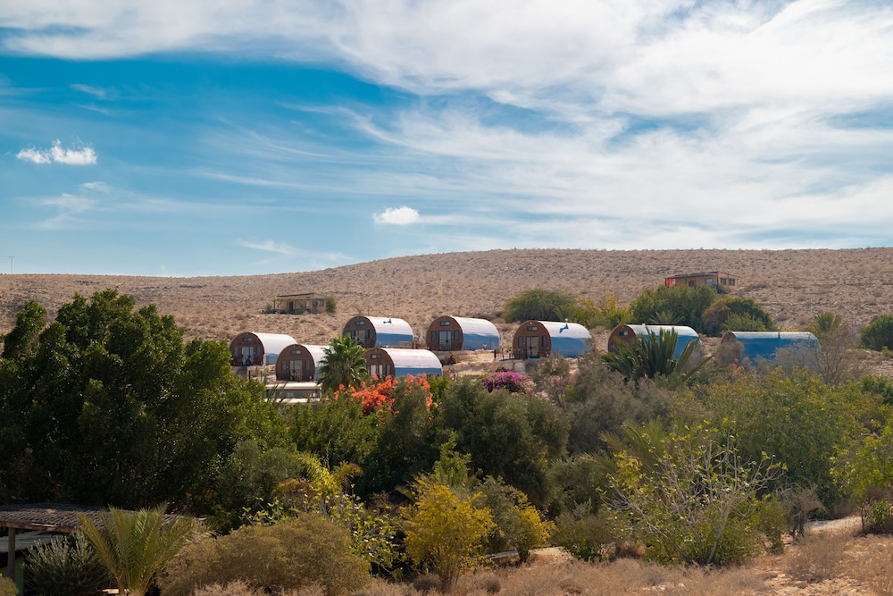 Carmey Avdat Farm - Israel