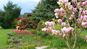 Jardim