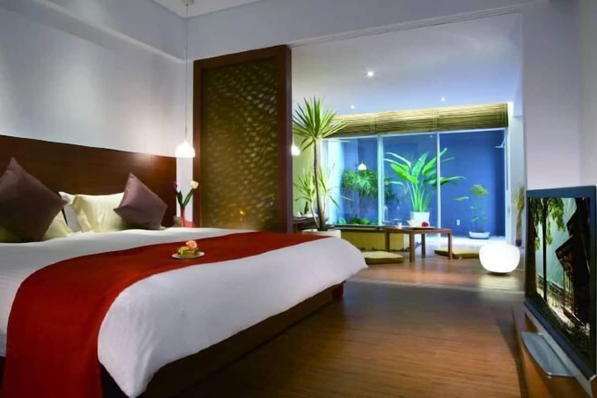 Roupa de alta qualidade, edredões de penas