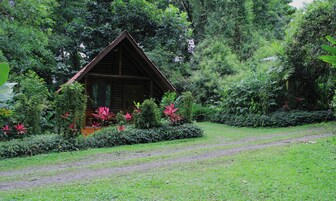 Cofre no quarto, roupa de cama fornecida 