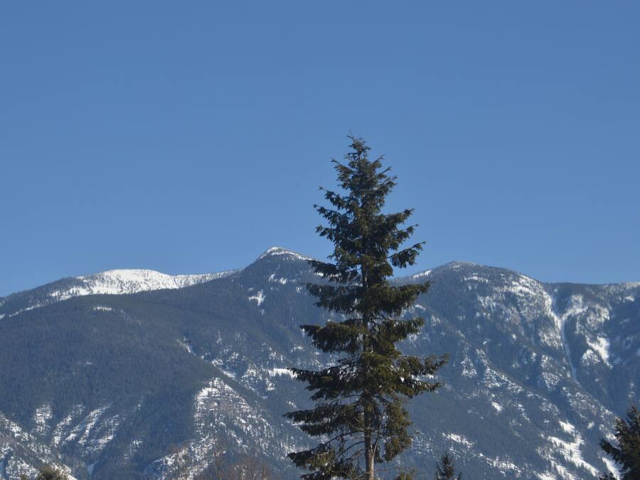 Suite Económica | Vista para a montanha