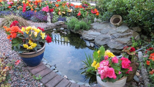 Um jardim com lago, cercado por flores e plantas coloridas.