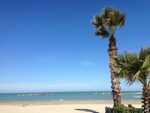 Na praia, espreguiçadeiras, guarda-sóis de praia 