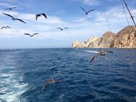 Perto da praia, toalhas de praia 