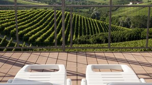 Terraço com duas cadeiras de lounge brancas com vista para um vinhedo.