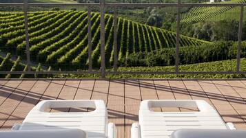 Terraço com espreguiçadeiras