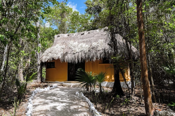Jolie Jungle Eco Hotel - Riviera Maya