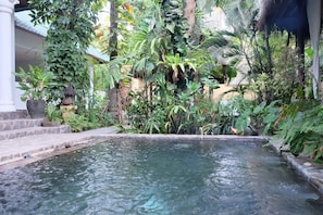Um jardim interior tranquilo com um pequeno espelho d'água, degraus de pedra e vegetação exuberante.