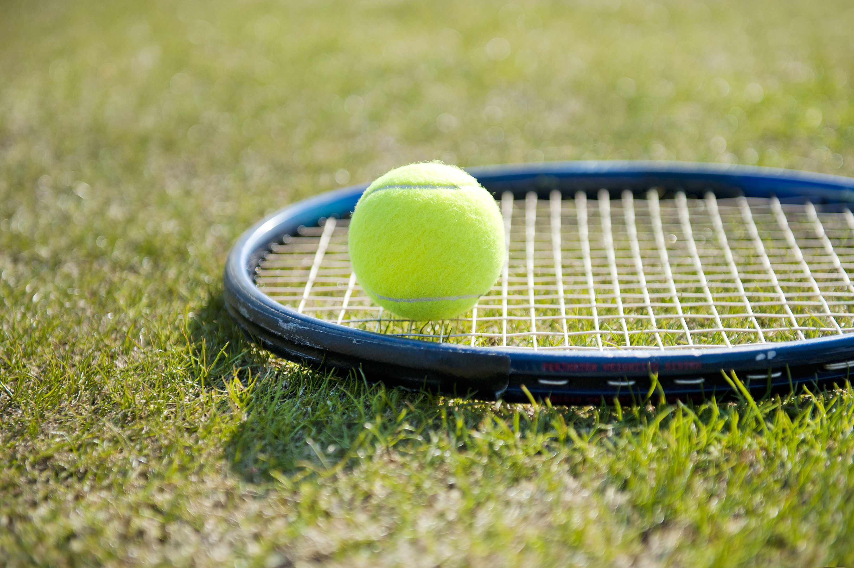 Uma bola de ténis sobre uma raquete de ténis na relva.
