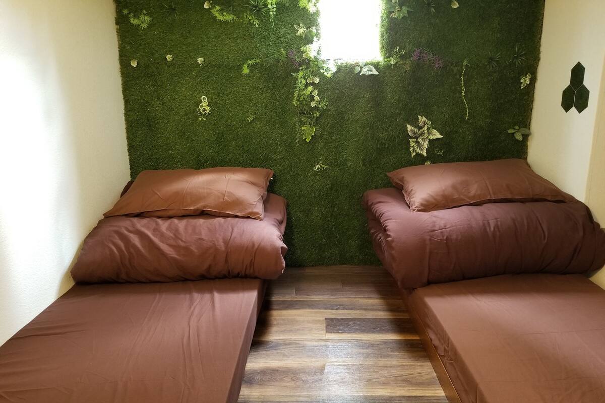 Quarto com duas camas de solteiro, piso de madeira e parede verde com plantas.