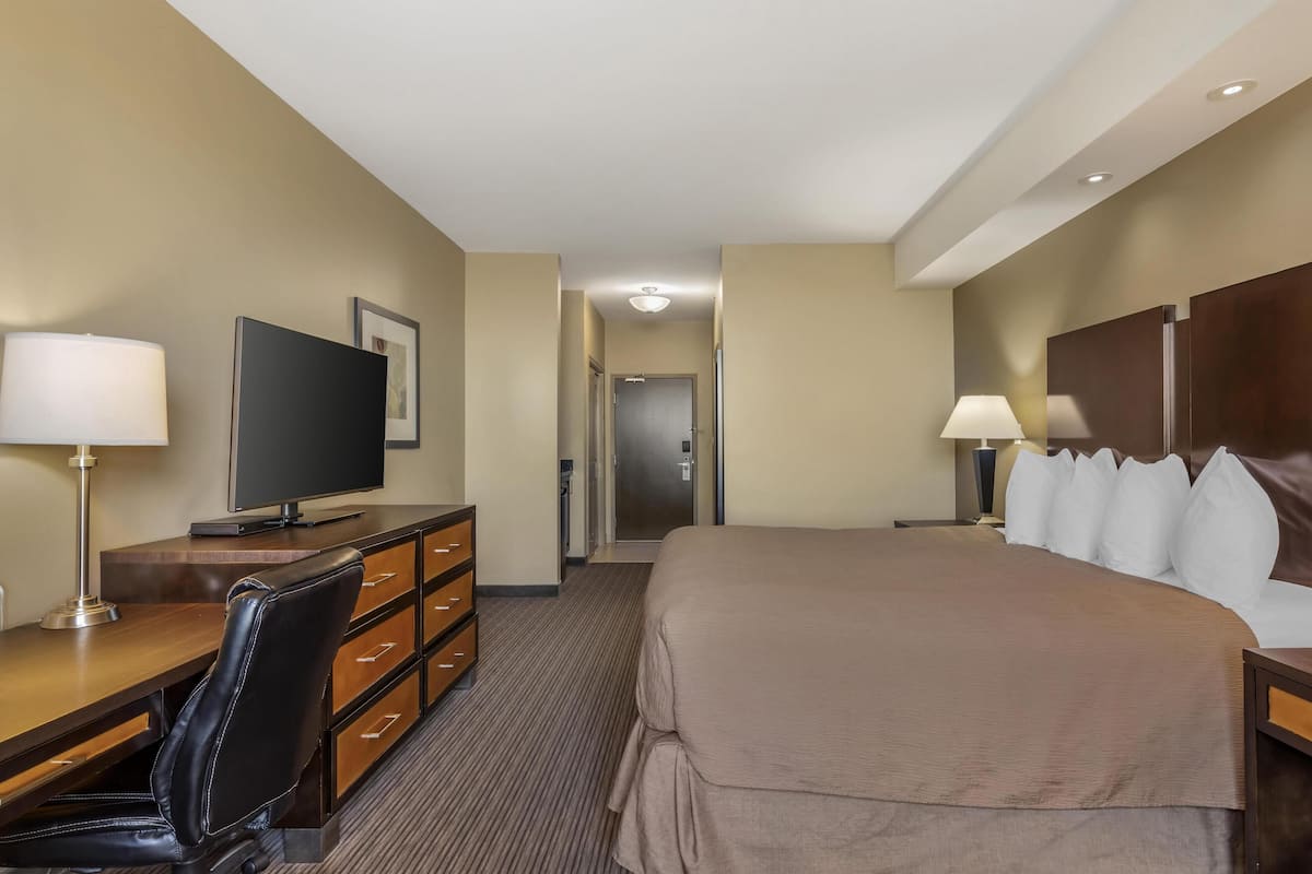 Quarto de hotel com cama, escrivaninha com televisão, cadeira, cómoda e mesa de cabeceira com abajur.