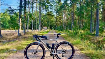 Uma bicicleta estacionada em um caminho de terra cercada por árvores altas.