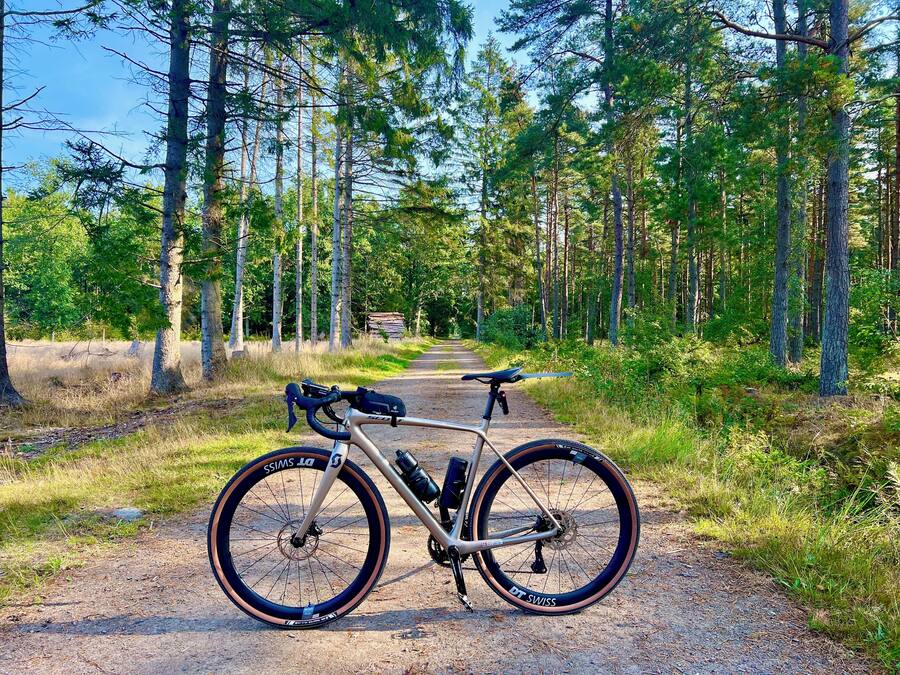Uma bicicleta estacionada em um caminho de terra cercada por árvores altas.